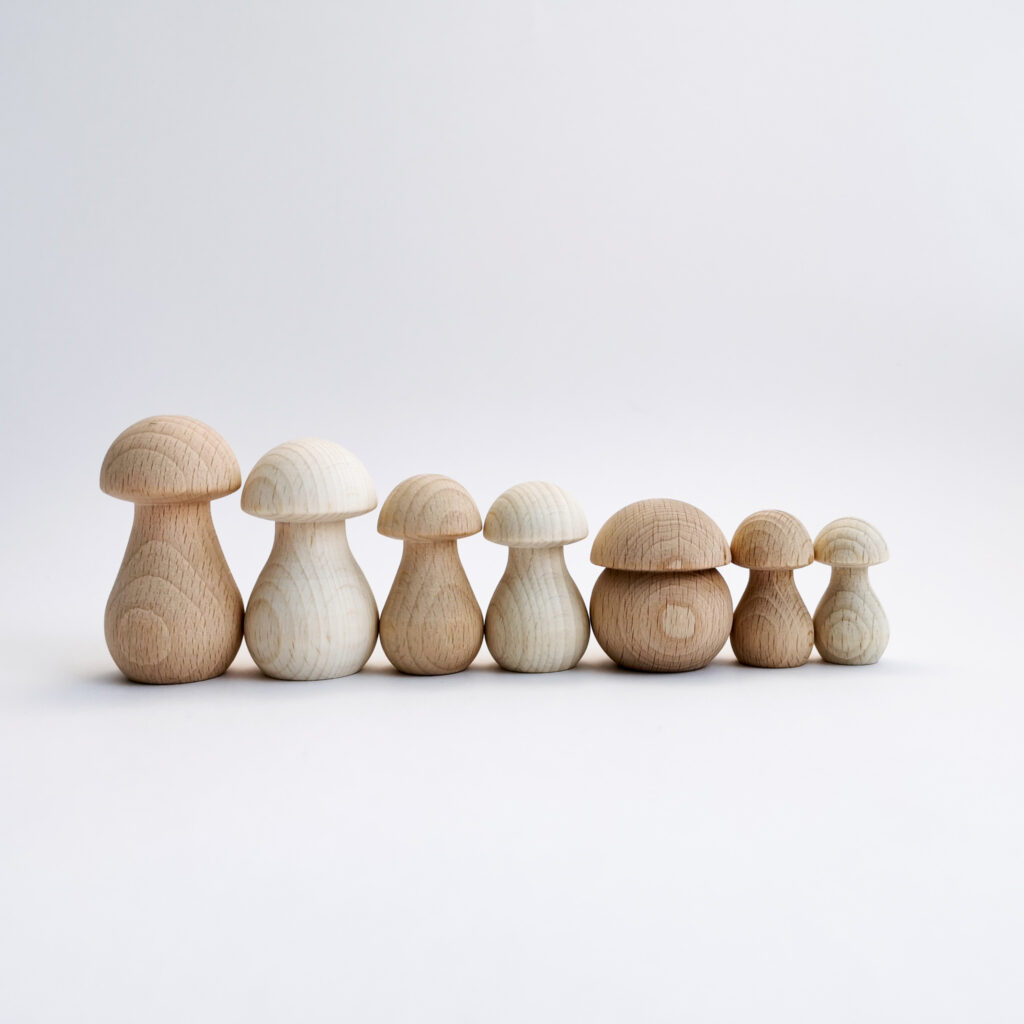 Puidust seened - Pisila - Värvi ise puidust toorikust seened