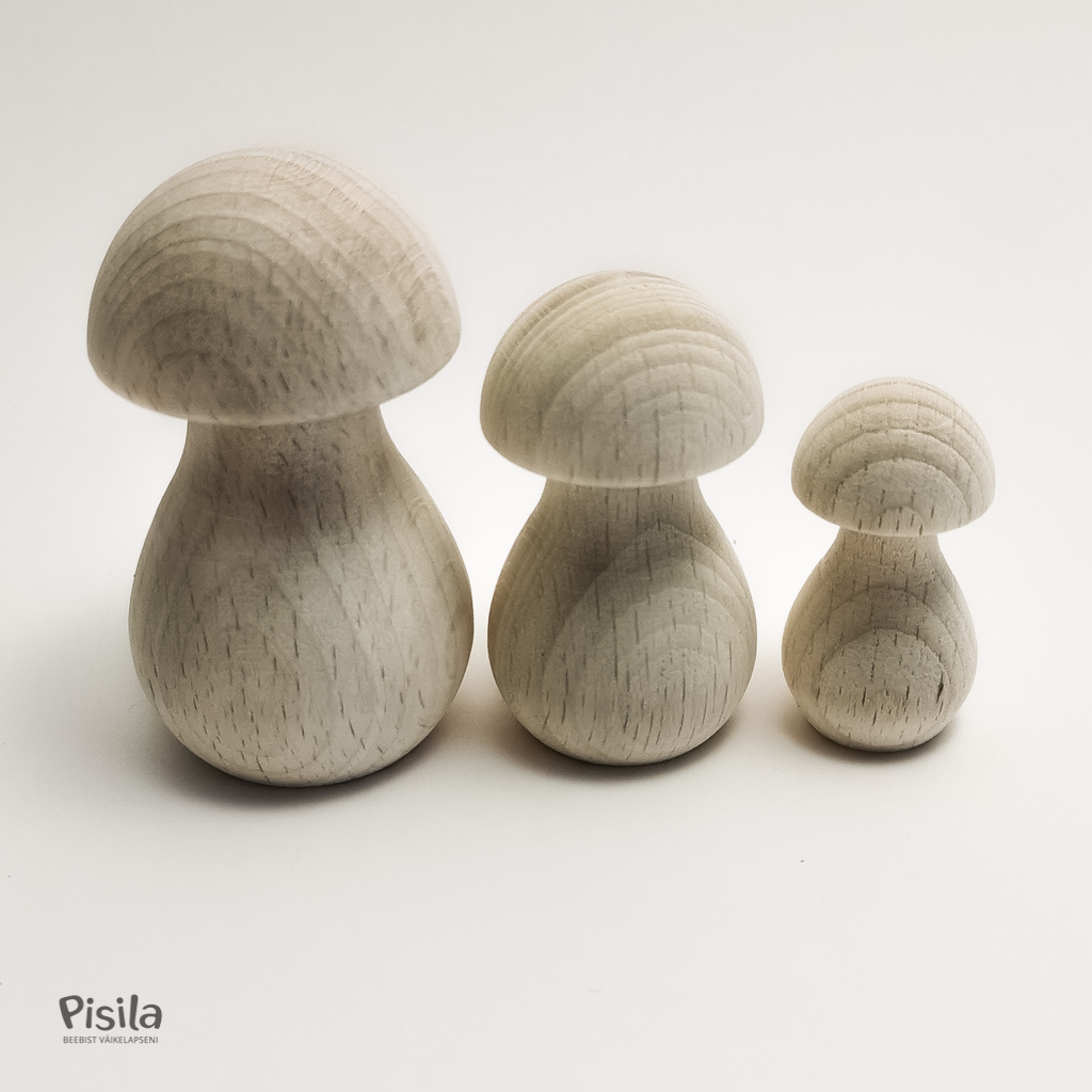 Puidust toorikud - Pisila